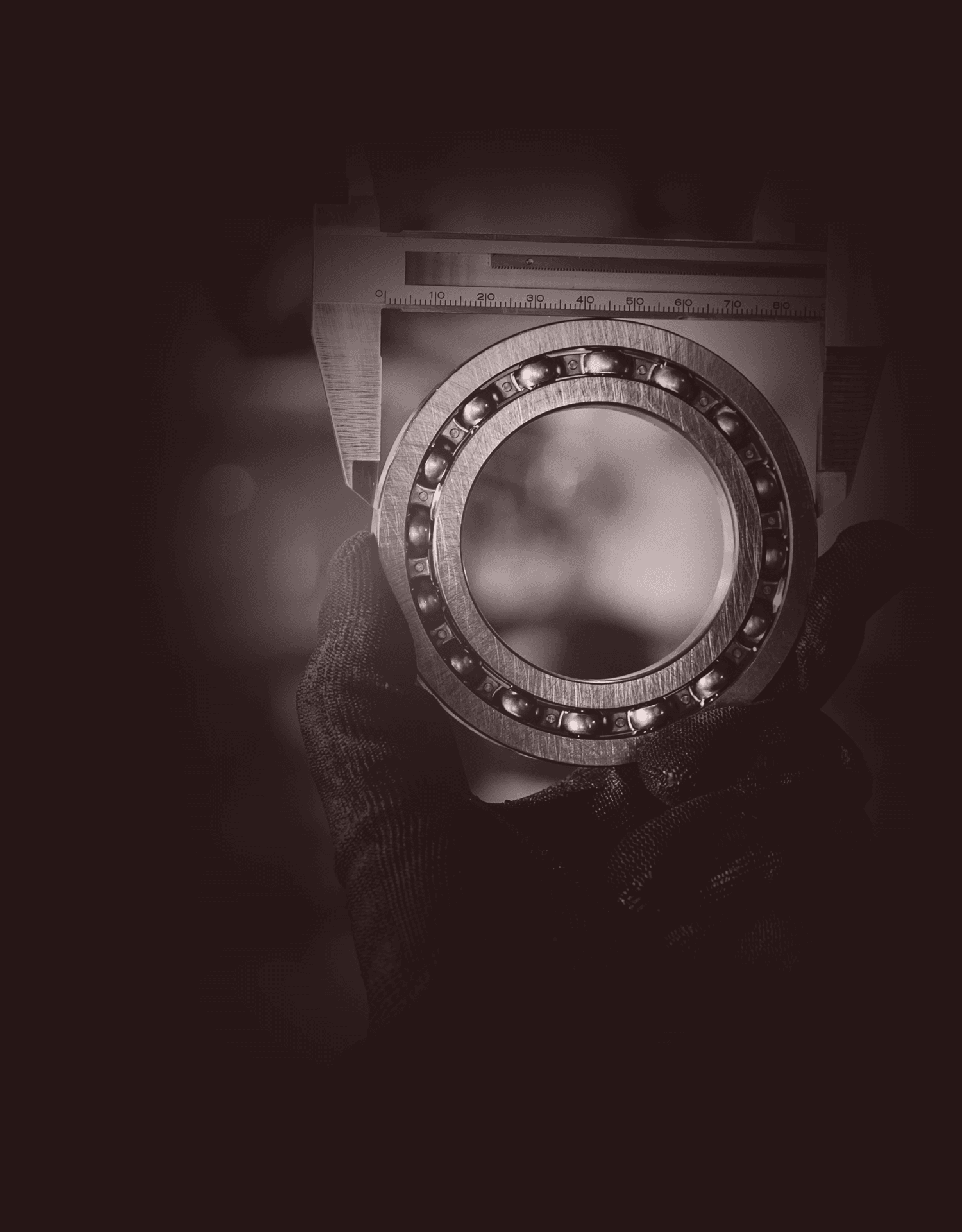 Borrelly - Spring Washer Manufacturer