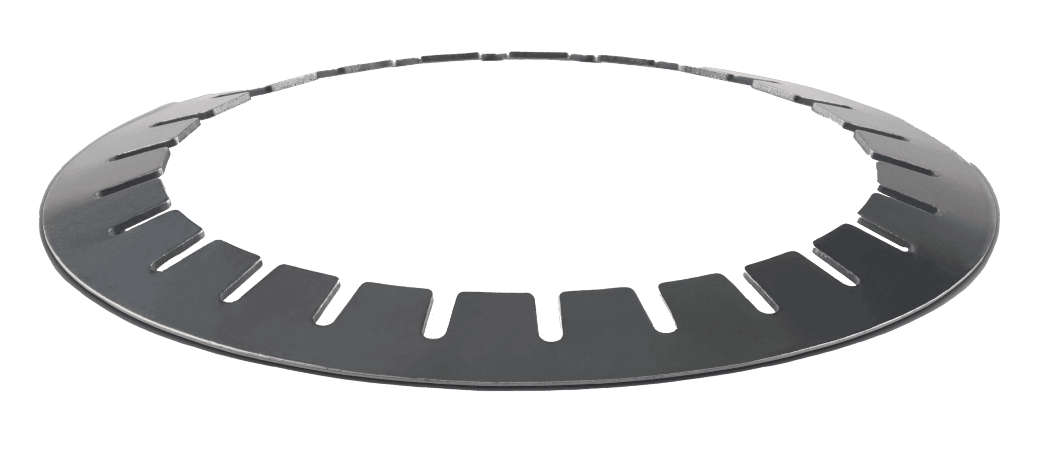 Diaphragm Washers - Borrelly